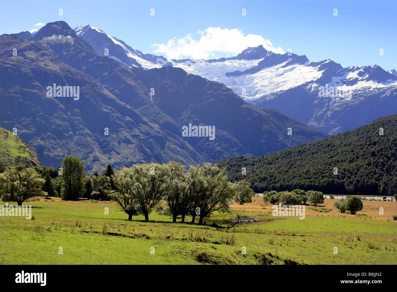 view of Mount Aspiring, New Zealand Stock Photo - Alamy