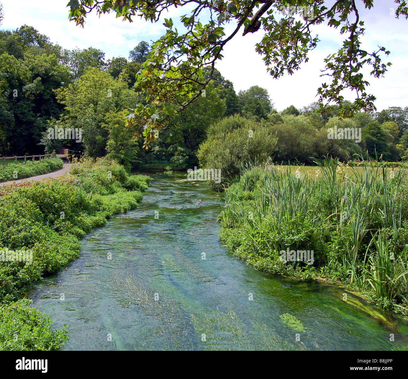 River itchen hi-res stock photography and images - Alamy