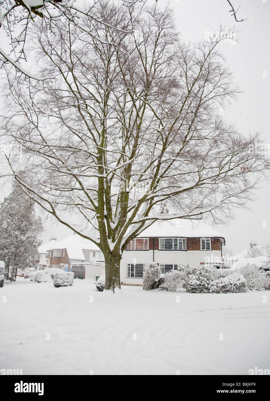 Suburban Street Scene Suburban Street Australia Hi Res Stock