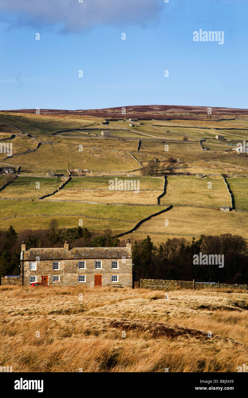 Isolated Farmhouse Arkengarthdale Yorkshire Dales England Stock Photo ...