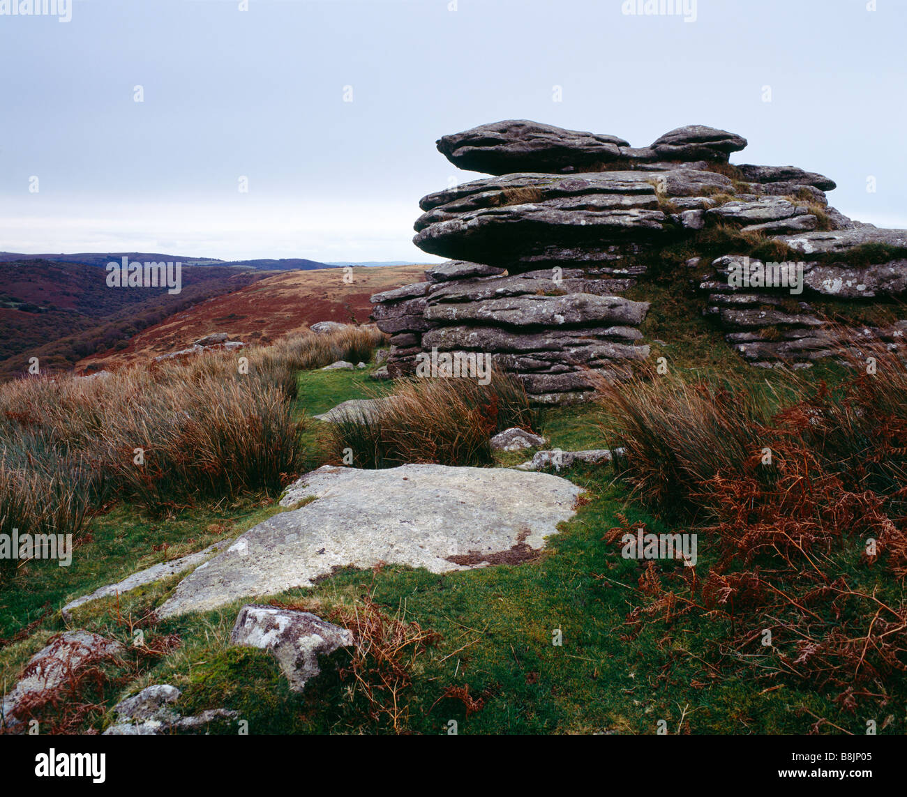 Combestone Tor in Dartmoor National Park near Hexworthy, Devon, England ...