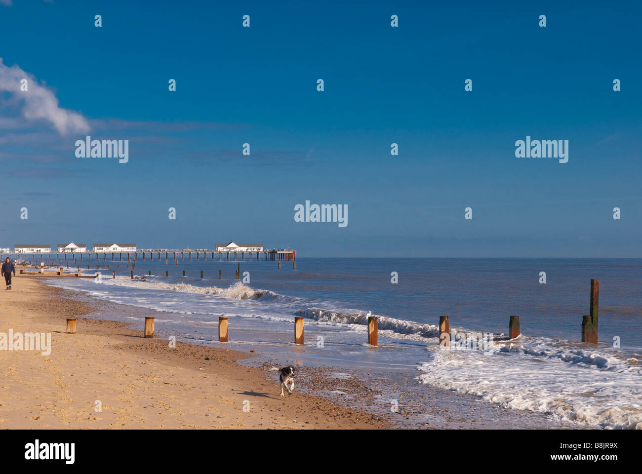 Are Dogs Allowed On Southwold Pier