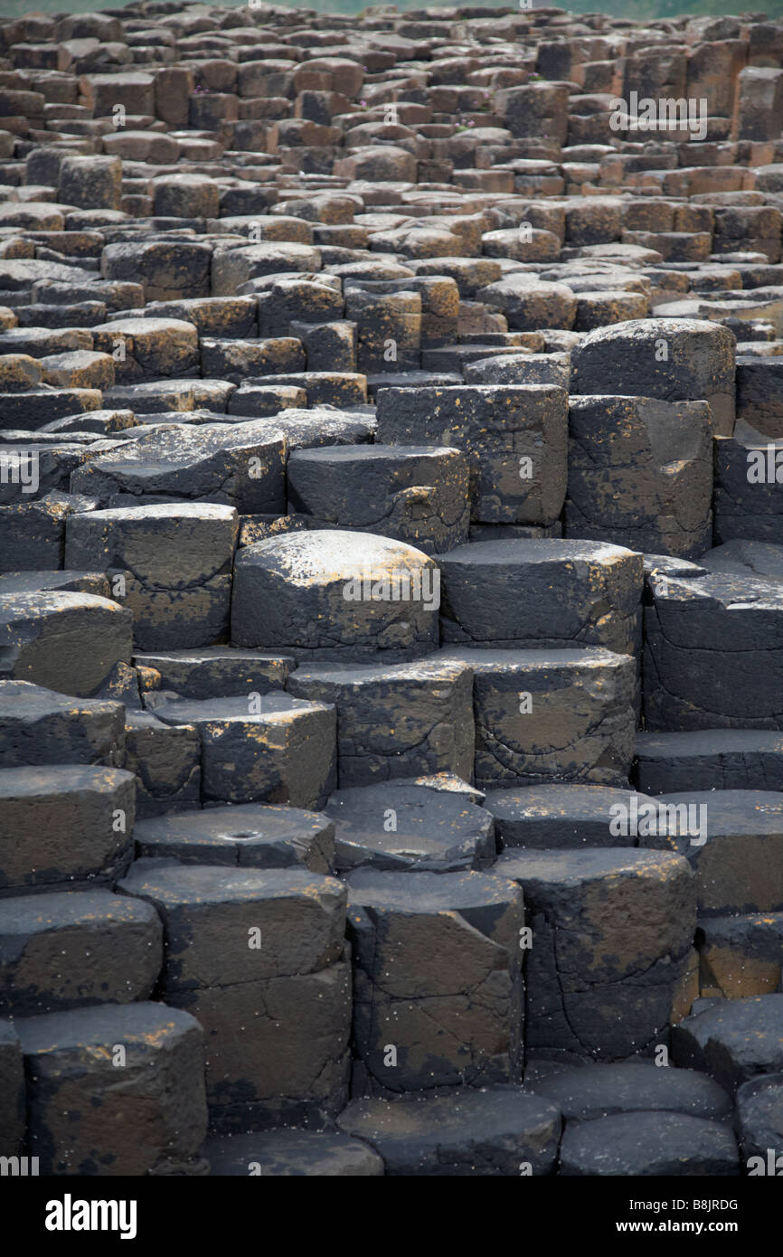 Landmark hexagon hexagonal hi-res stock photography and images - Alamy