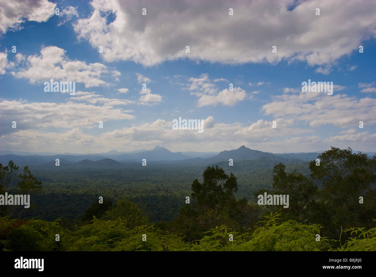 COCKSCOMB BASIN WILDLIFE SANCTUARY with Victoria peak in distance ...