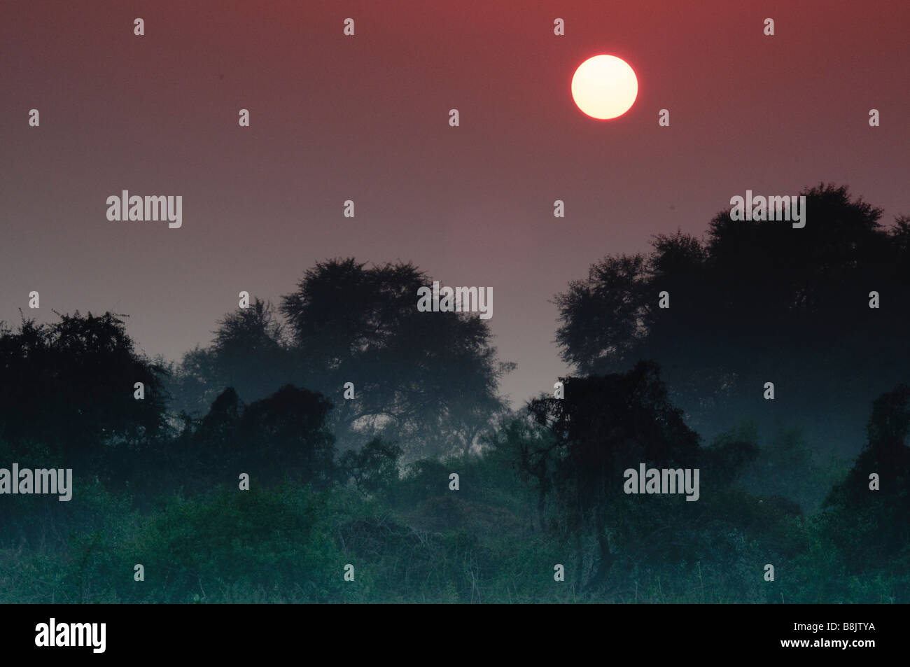 India red sky hi-res stock photography and images - Alamy