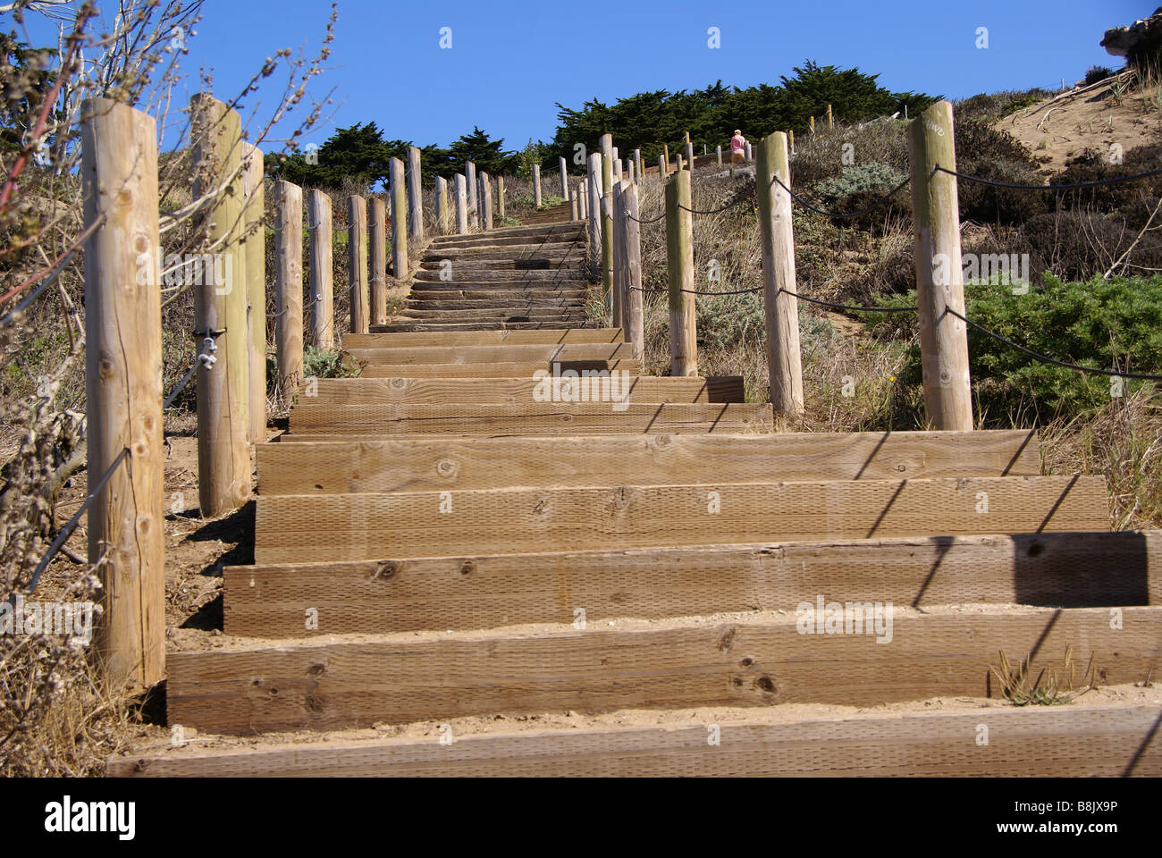 Ascending rustic wooden steps Stock Photo - Alamy