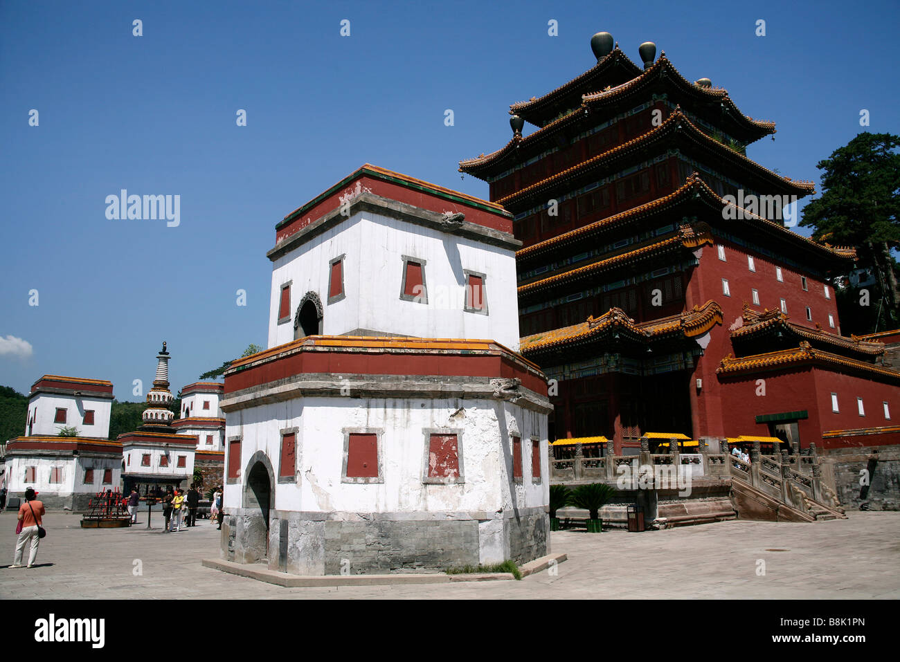 Temple of puning hi-res stock photography and images - Alamy