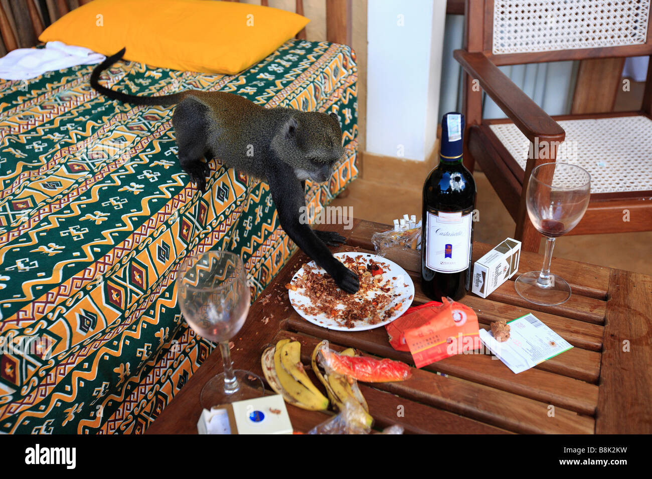Monkeys table hi-res stock photography and images - Alamy
