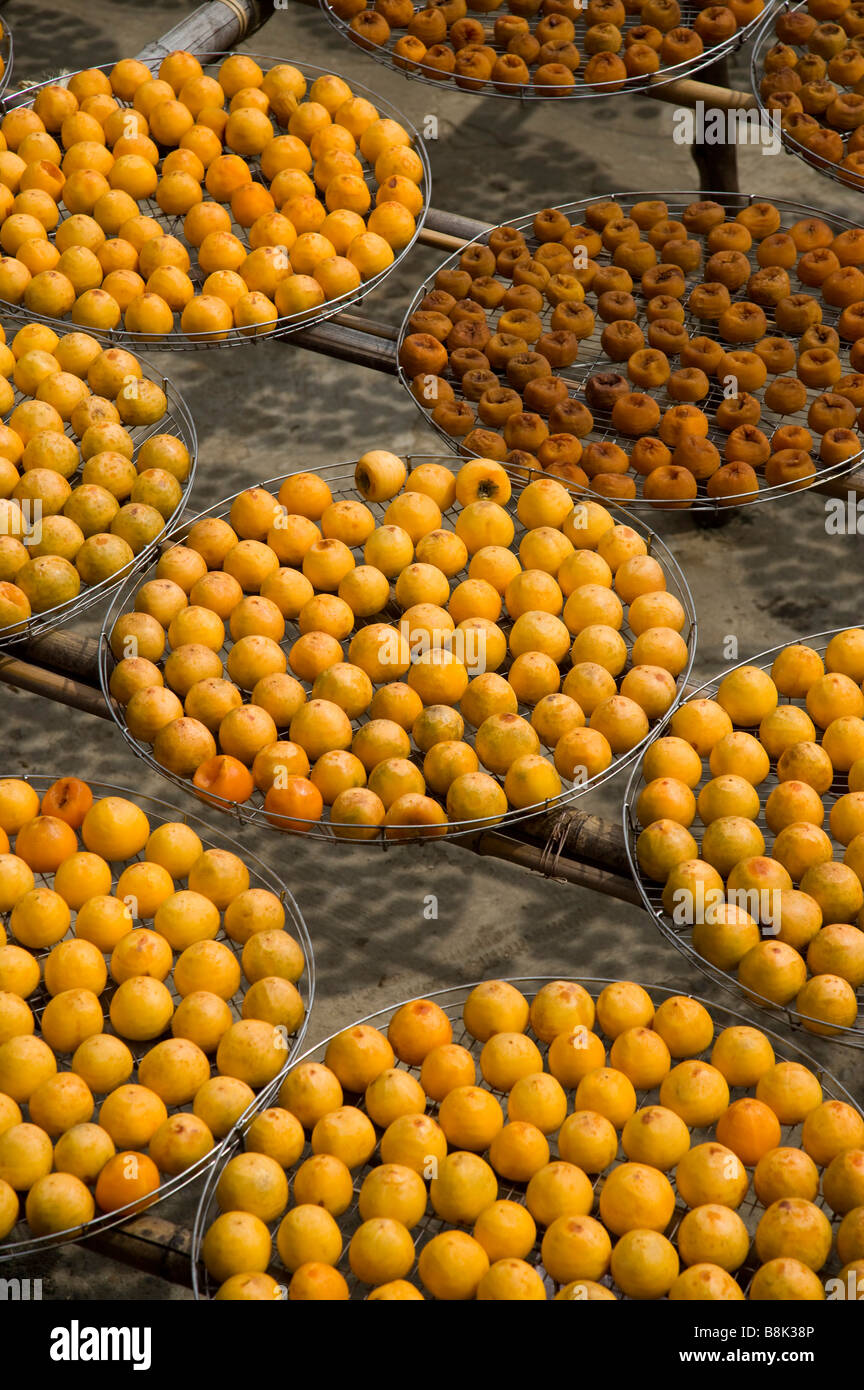 Drying persimmons of Hsinpu Town, Hsinchu County, Taiwan Stock Photo ...
