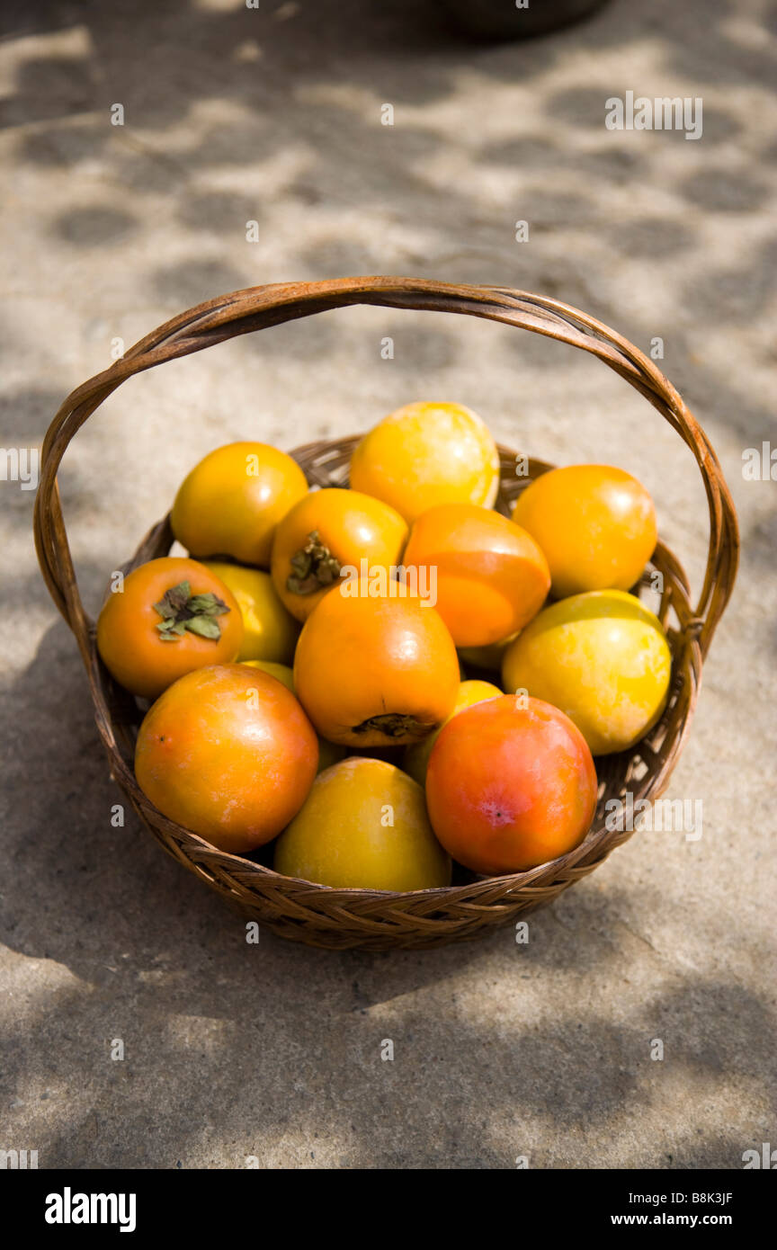 A basket of persimmons of Hsinpu Town Hsinchu County Taiwan Stock Photo ...