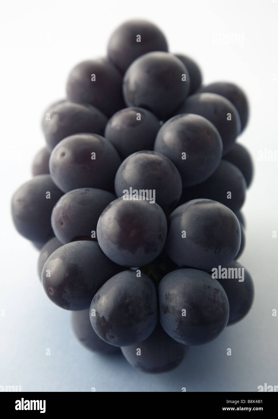 Grape pione hi-res stock photography and images - Alamy