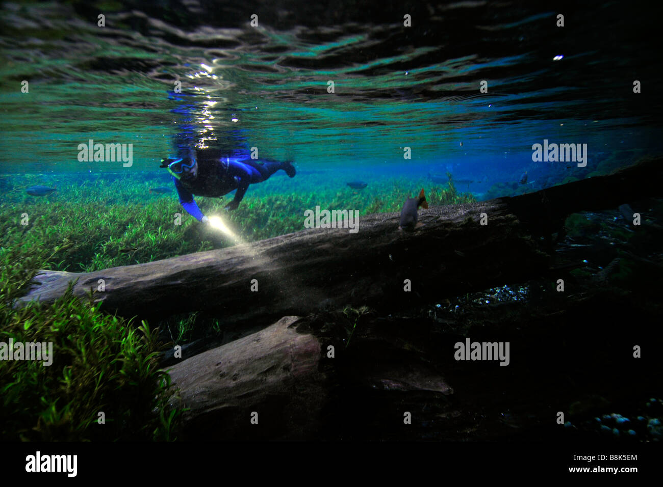 Free diver explores the underwater landscape floating down Baia Bonita ...