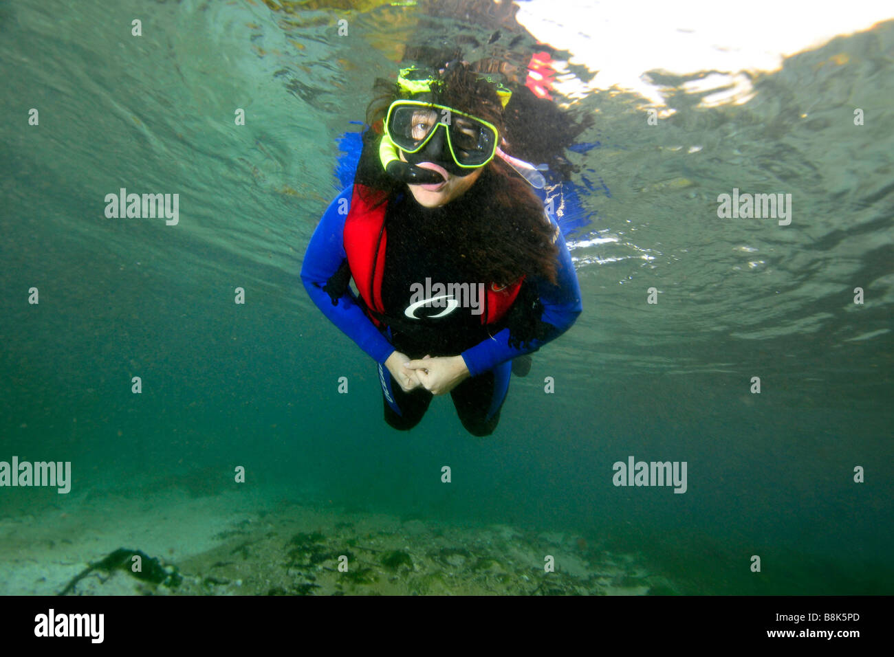 Diver enjoys underwater landscape of Sucuri river Bonito Mato Grosso do ...