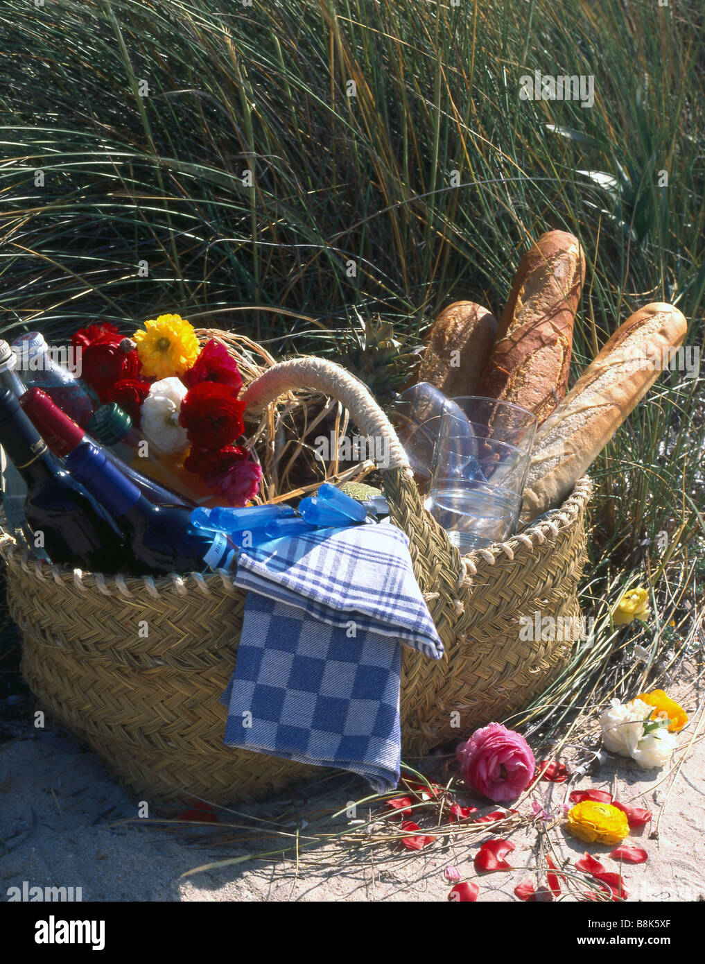 picnic among the dunes Stock Photo - Alamy