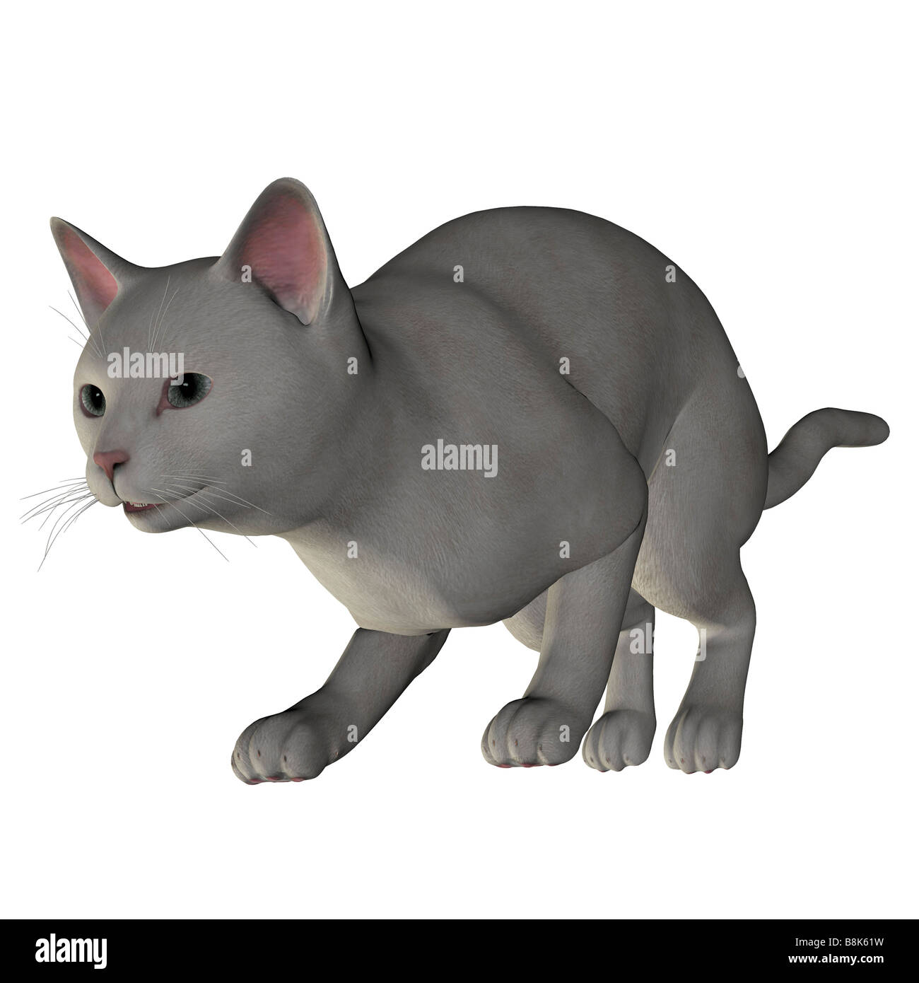 Crouching feline hi-res stock photography and images - Alamy