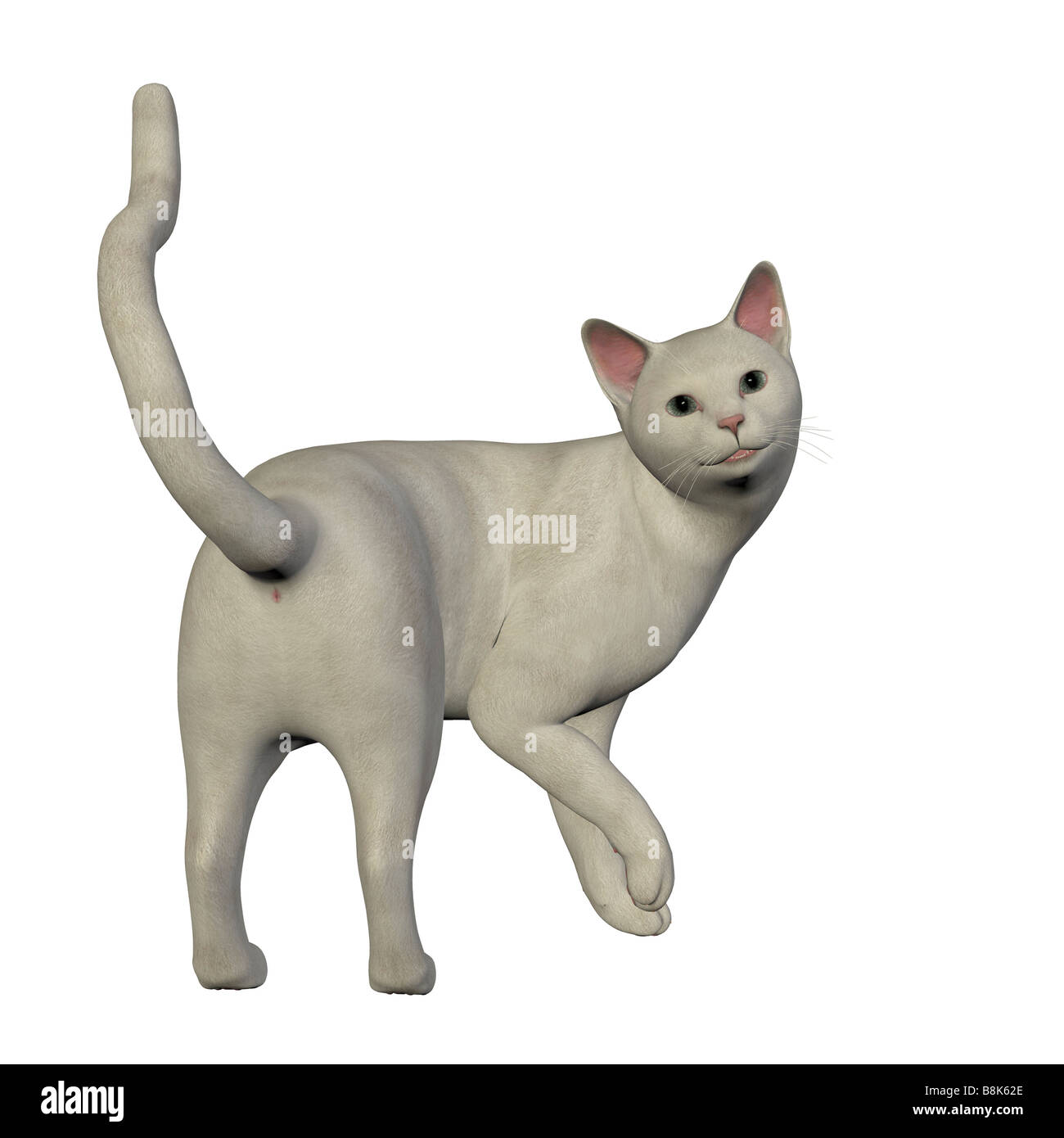 White Cat turning isolated on white background Stock Photo - Alamy