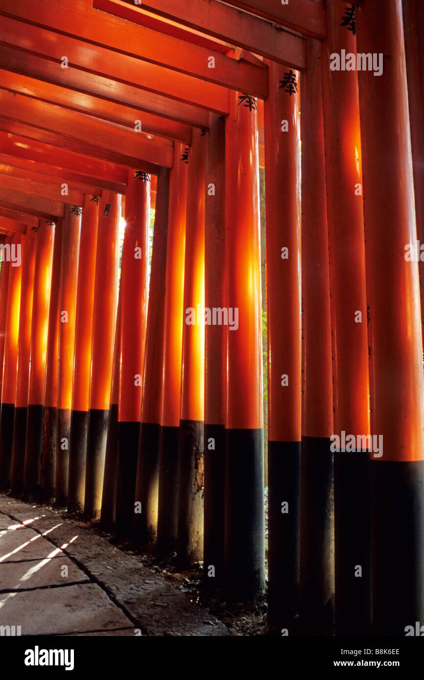 Fushimi Inari Columns High Resolution Stock Photography and Images - Alamy