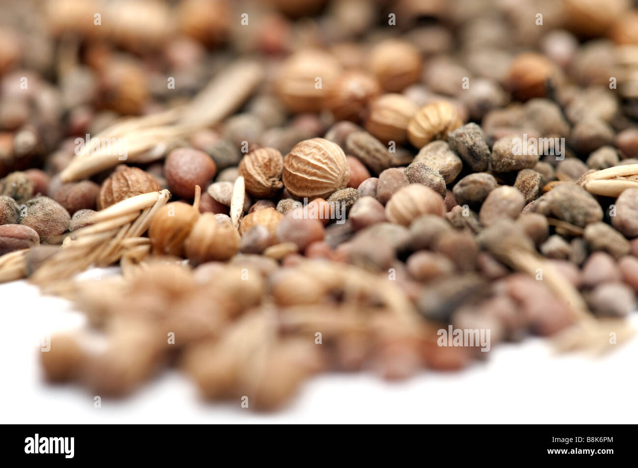 Vegetable seeds hi-res stock photography and images - Alamy
