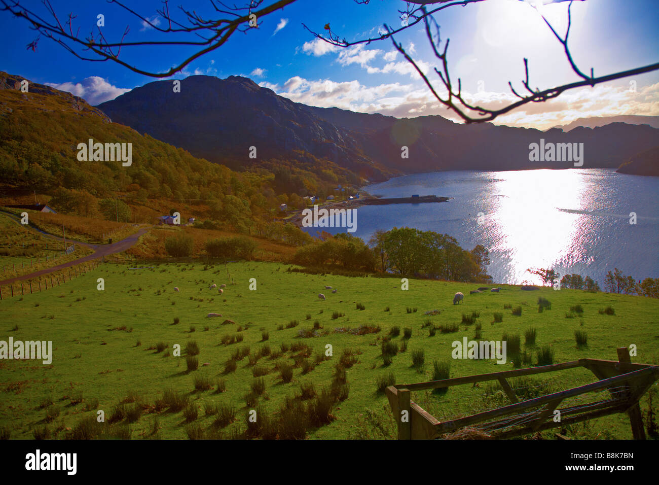 Loch view hi-res stock photography and images - Alamy