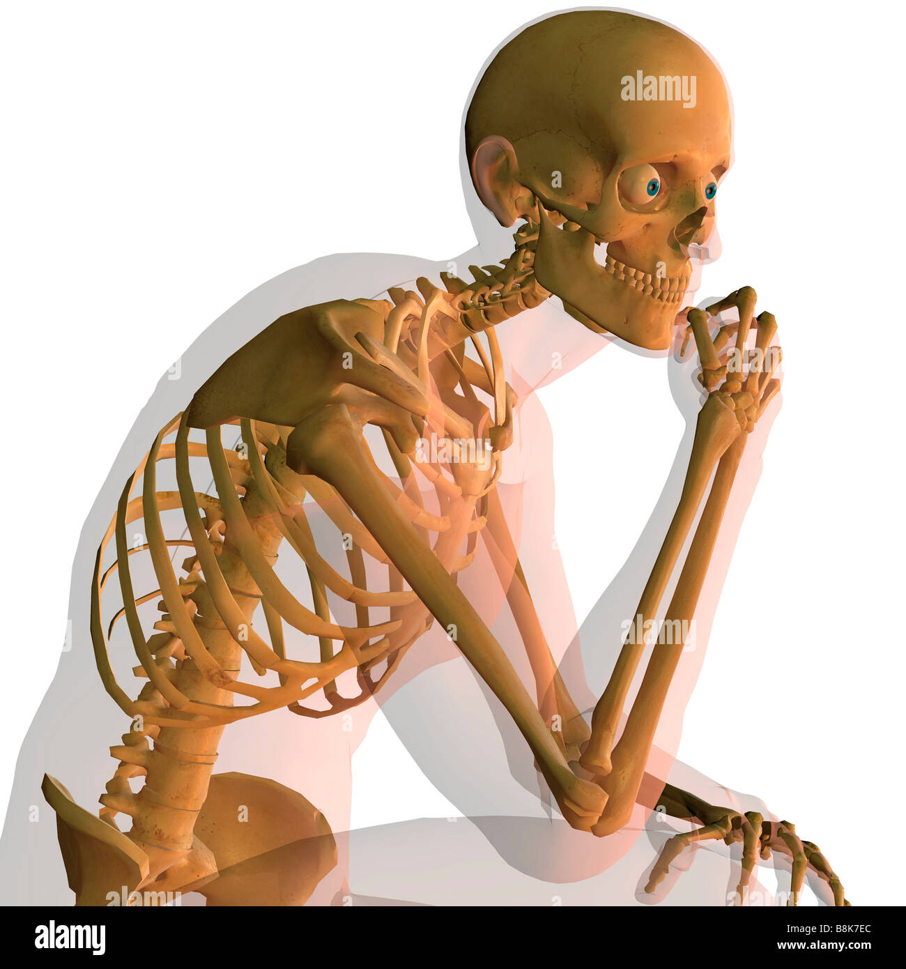Transparent human male isolated on white thinking with skeleton showing ...