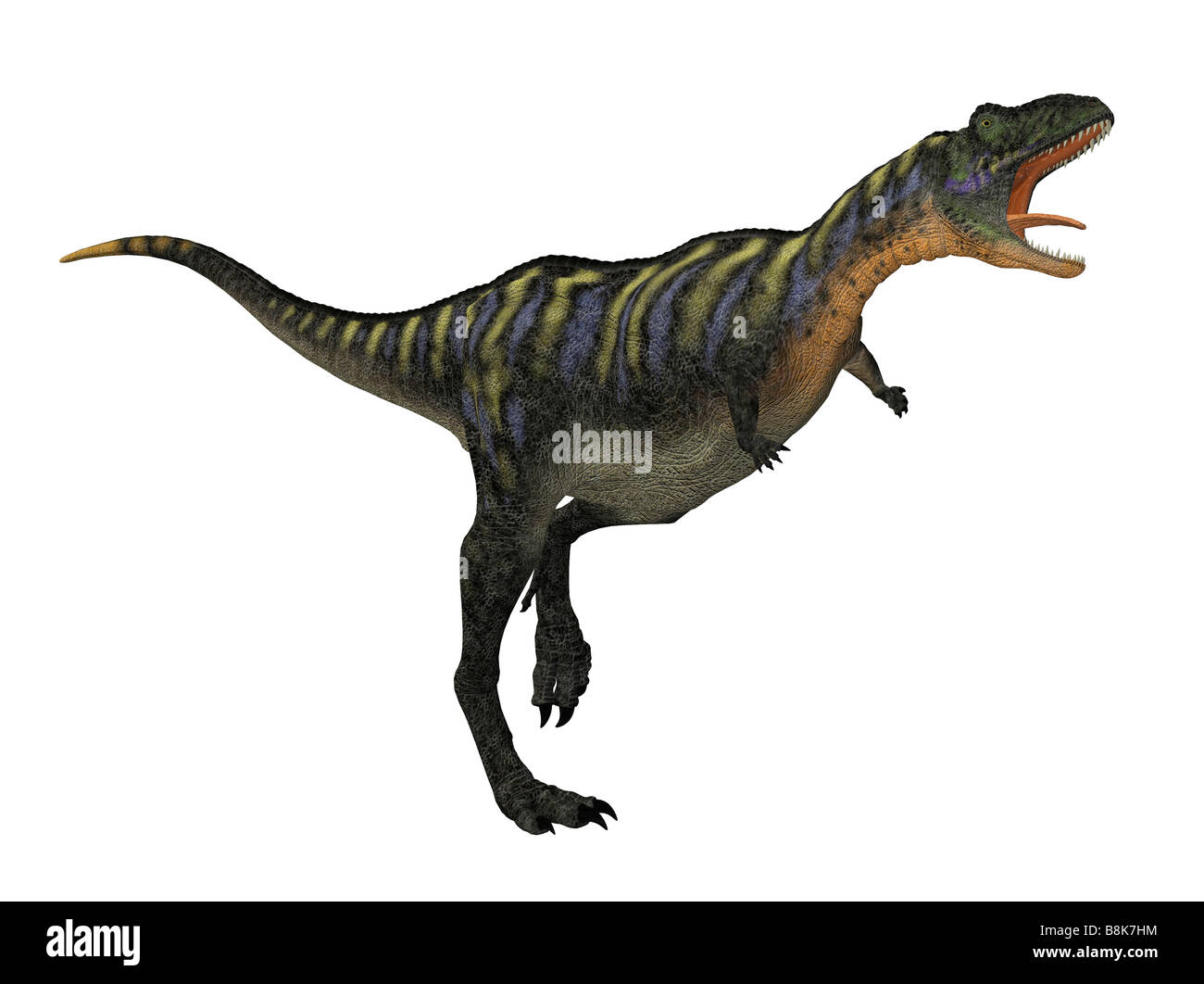 Aucasaurus dinosaur isolated on white background Stock Photo - Alamy