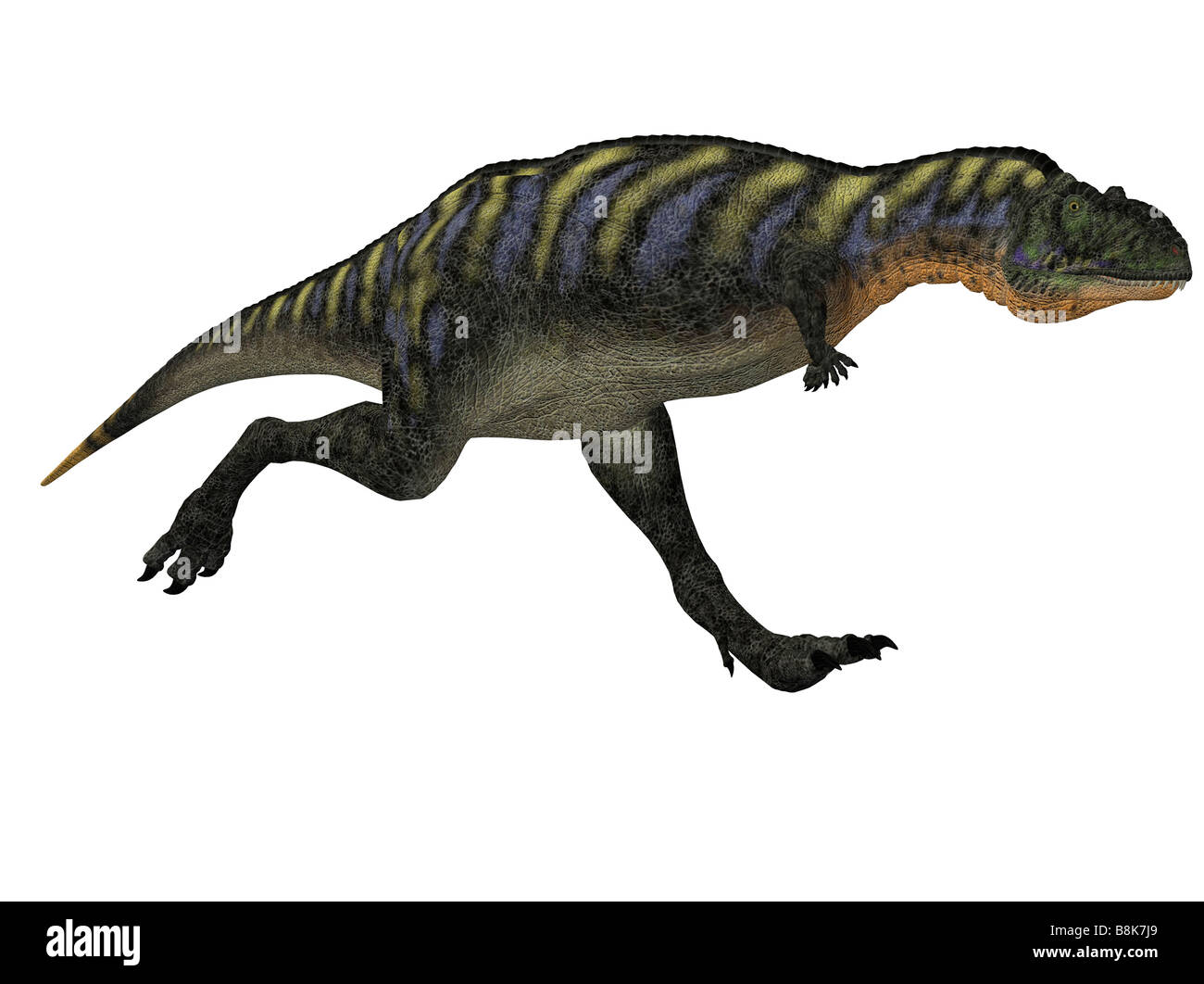 Aucasaurus dinosaur isolated on white background Stock Photo - Alamy