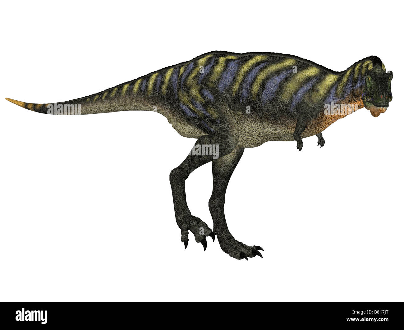Aucasaurus dinosaur isolated on white background Stock Photo - Alamy