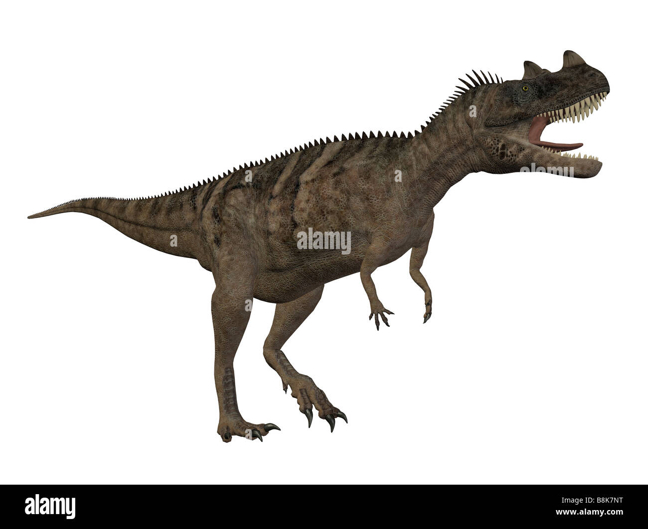 Ceratosaurus ceratosaurus Cut Out Stock Images & Pictures - Alamy