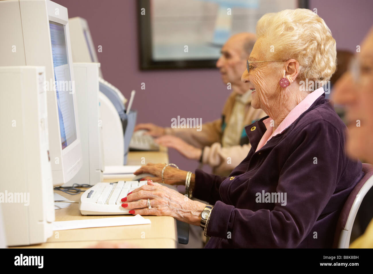 Old Lady Computer Meme