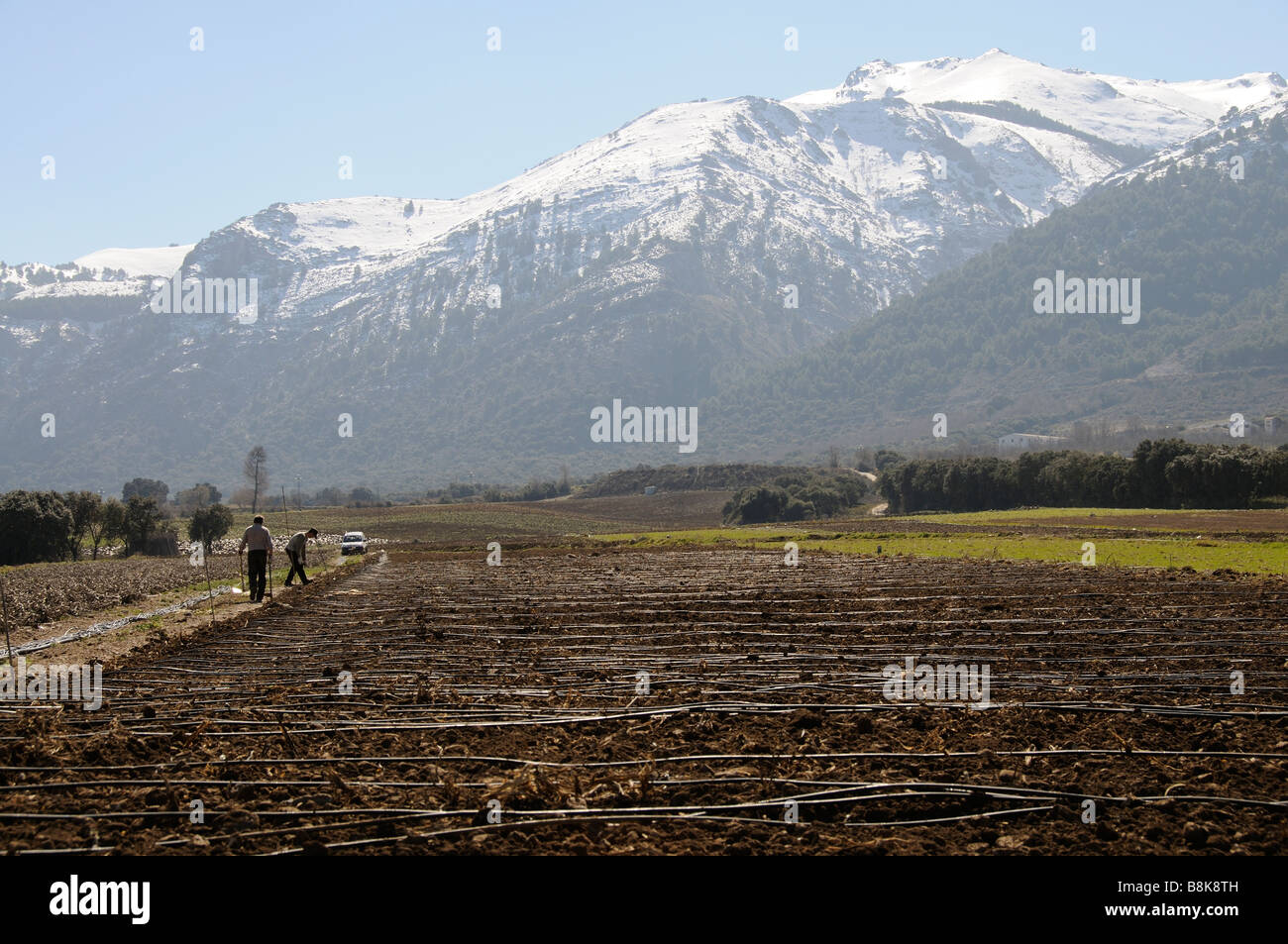 Spanish farmland near the town of Ventas de Zafarraya overlooked by ...