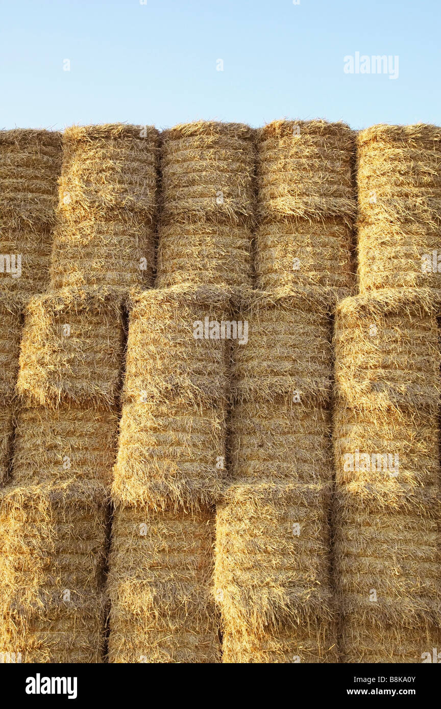 Stack of straw bales Stock Photo - Alamy