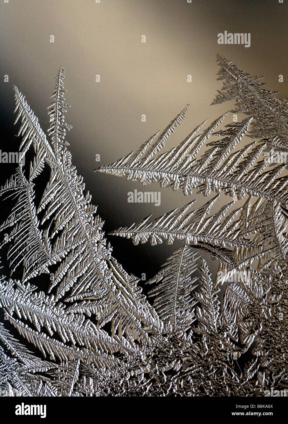 Frost forms on a frigid winter window Stock Photo - Alamy
