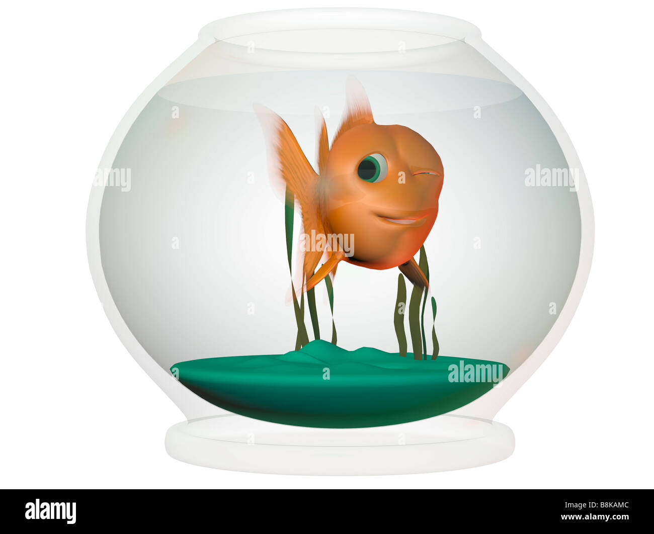 Goldfish winking and smiling in bowl isolated on white background Stock ...