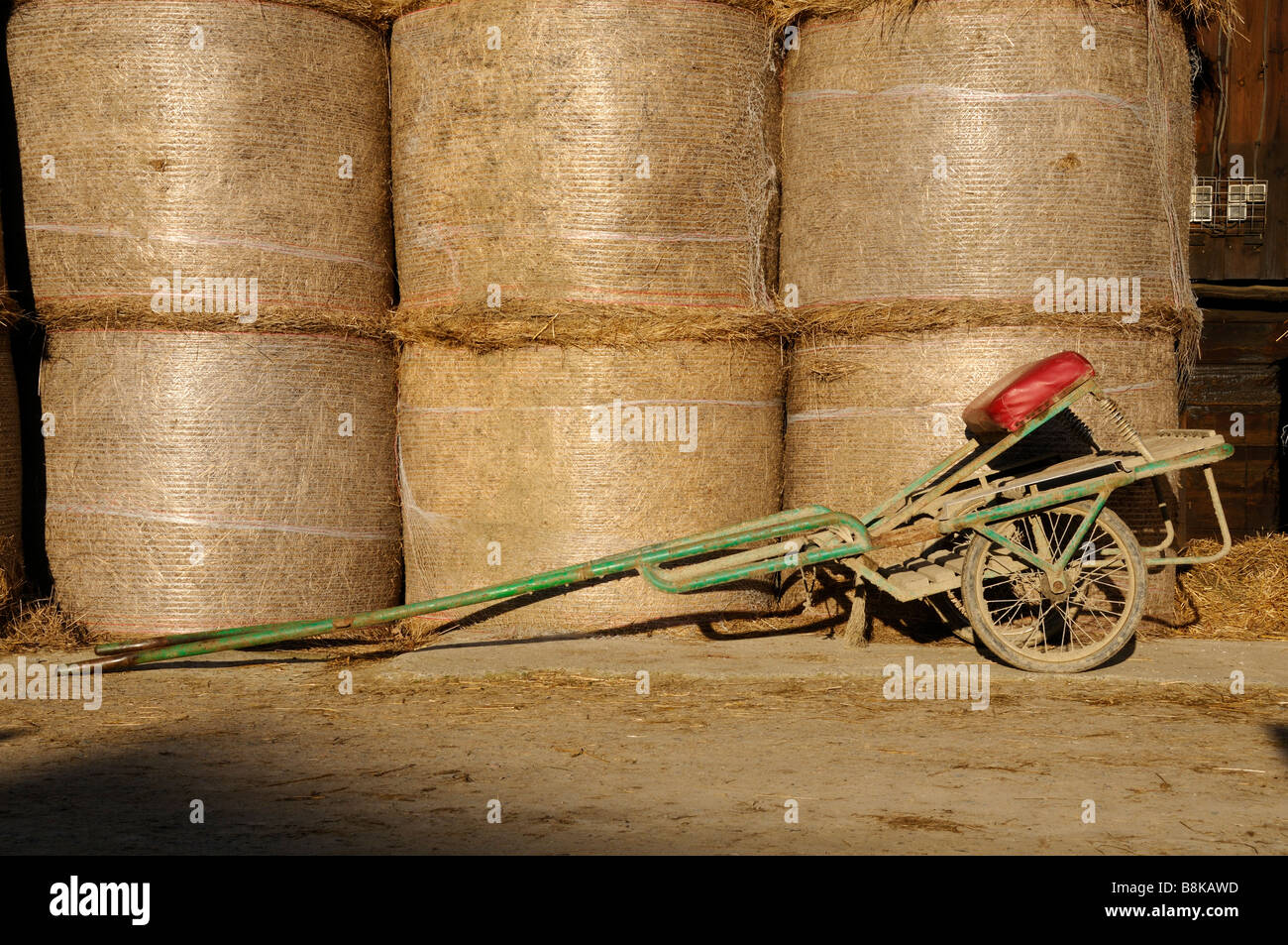 Stock photo of a Sulky a two wheeled racing cart used in harness racing ...