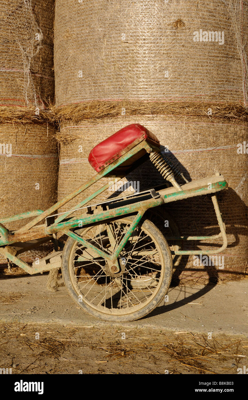 Stock photo of a Sulky a two wheeled racing cart used in harness racing ...