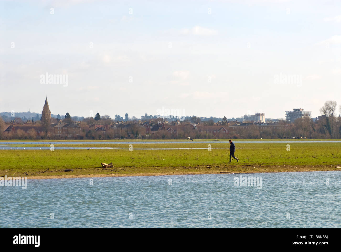 A walker on Port Meadow, Oxford, England Stock Photo - Alamy