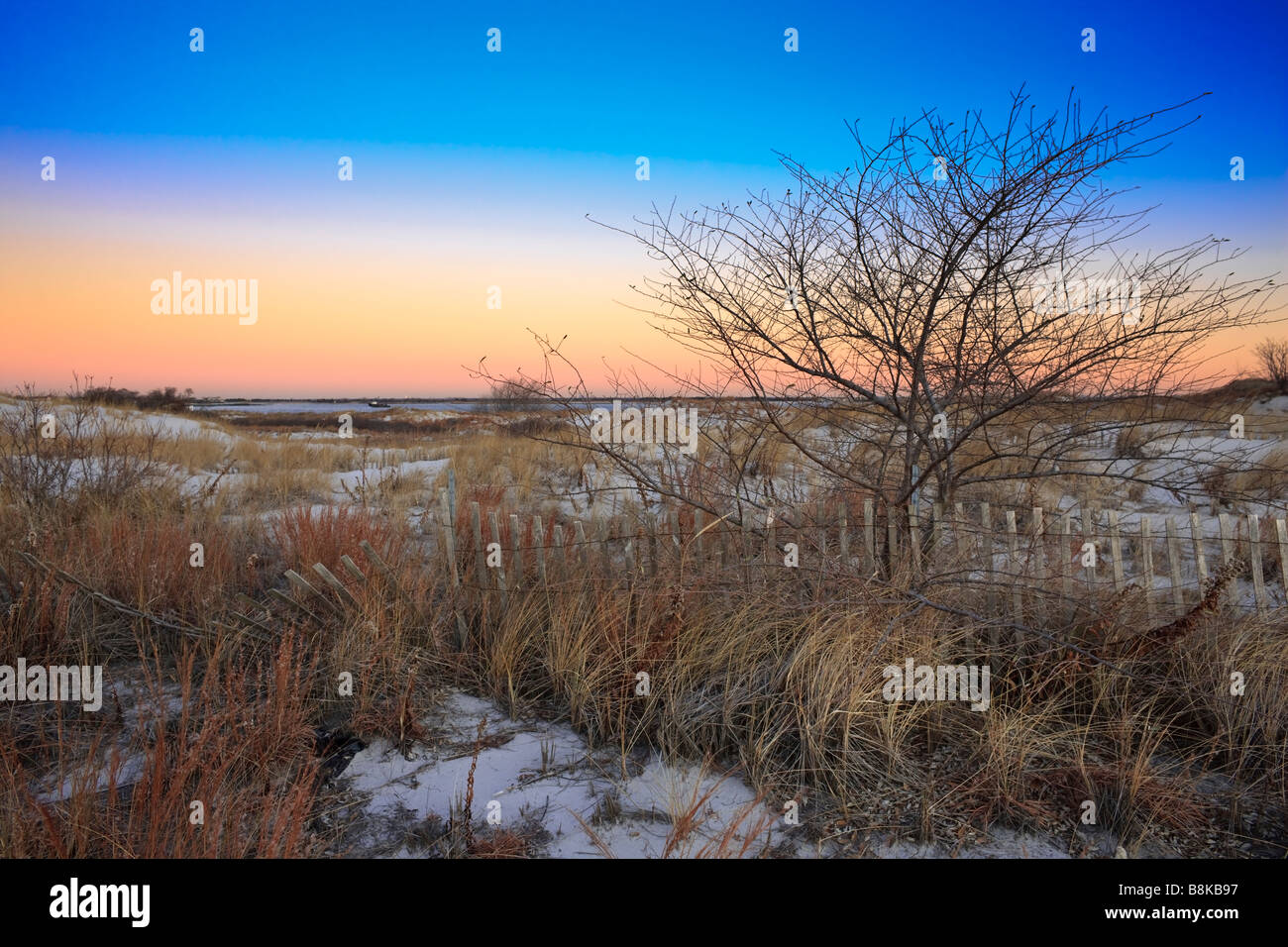 Snowy sand dunes at sunrise behind fence with tree at Jones Beach State ...