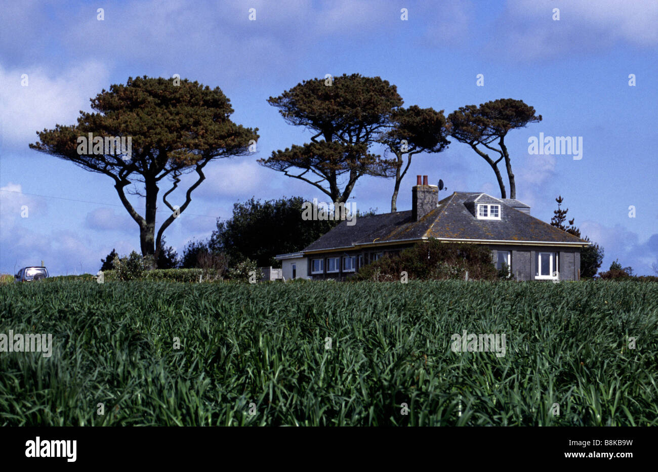 Cornish farm house hi-res stock photography and images - Alamy