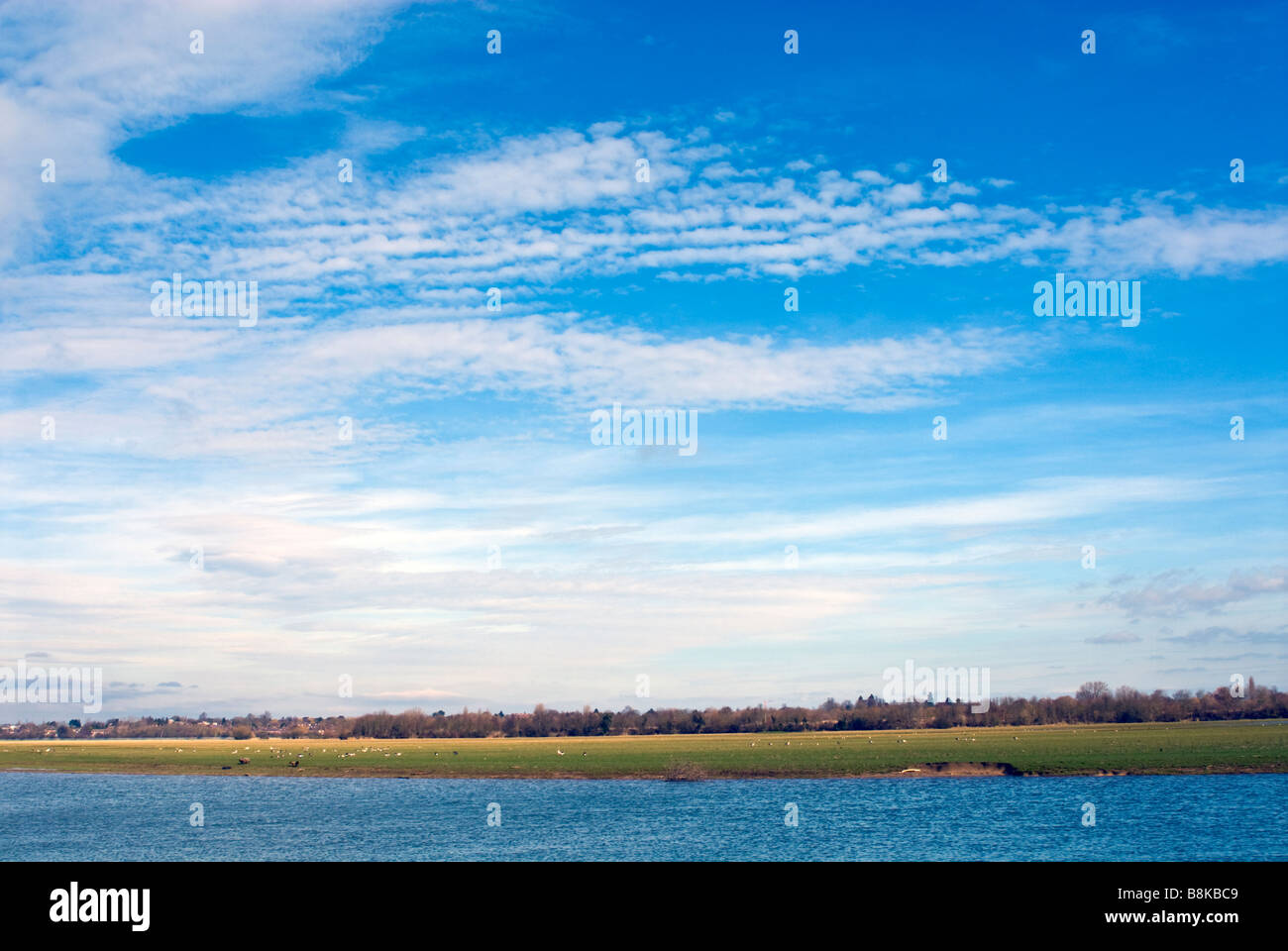 Port meadow oxford hi-res stock photography and images - Alamy