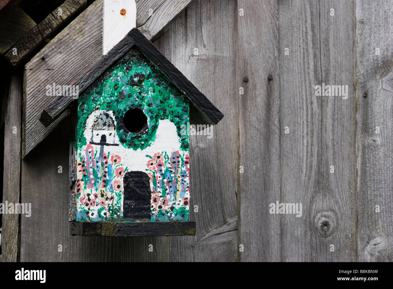 Open fronted bird box hi-res stock photography and images - Alamy