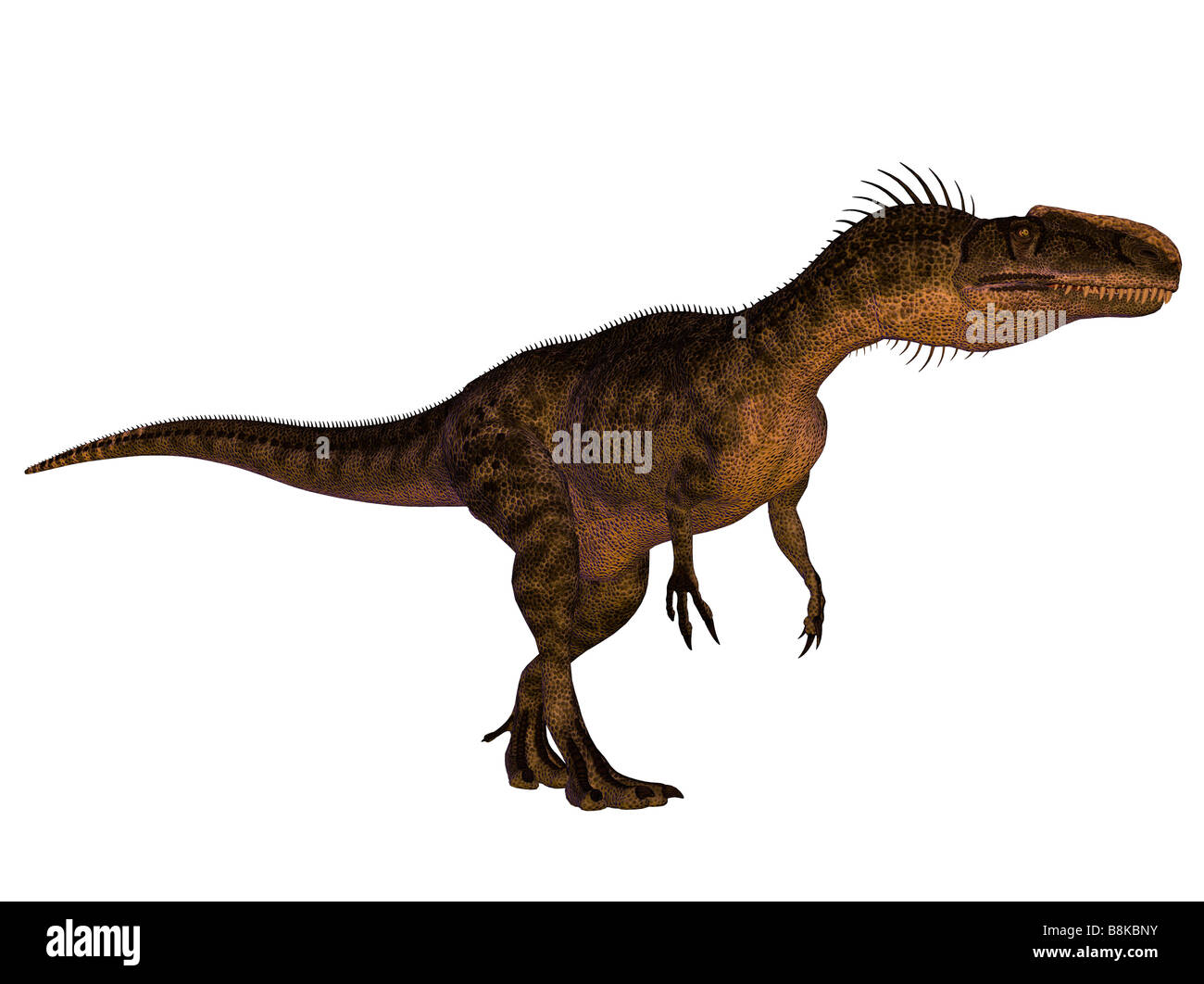Monolophosaurus hi-res stock photography and images - Alamy