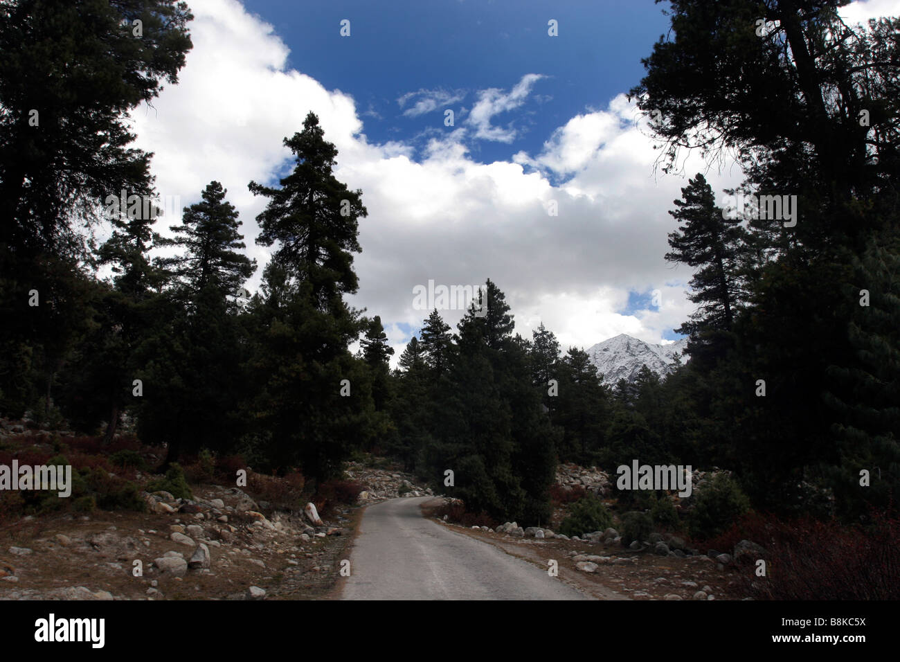 A paved road in the Sangla Valley of Himachal Pradesh in India Stock ...