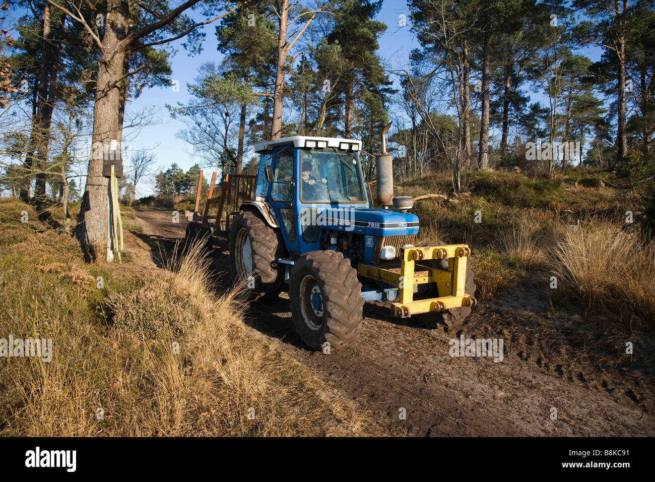 Blackdown west sussex hi-res stock photography and images - Alamy