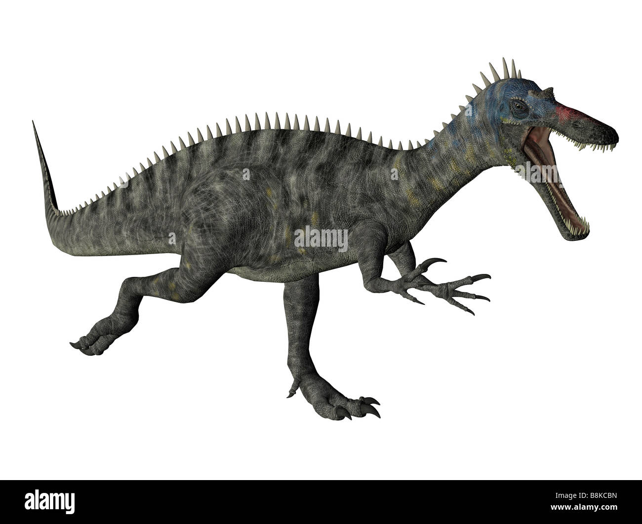 Suchomimus dinosaur dinosaurs extinct hi-res stock photography and ...