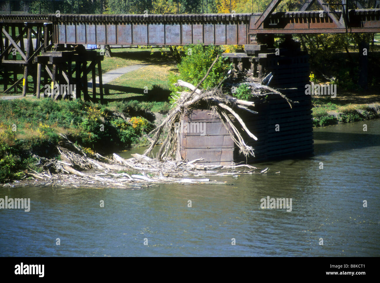 flood debris tree trunk branch bridge abutment structure edge pier ...