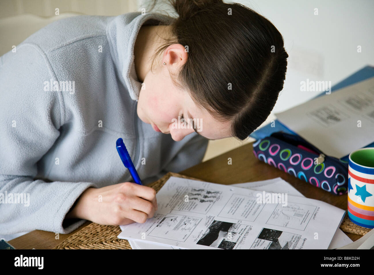 Student working hard at home at the kitchen table, England Stock Photo ...