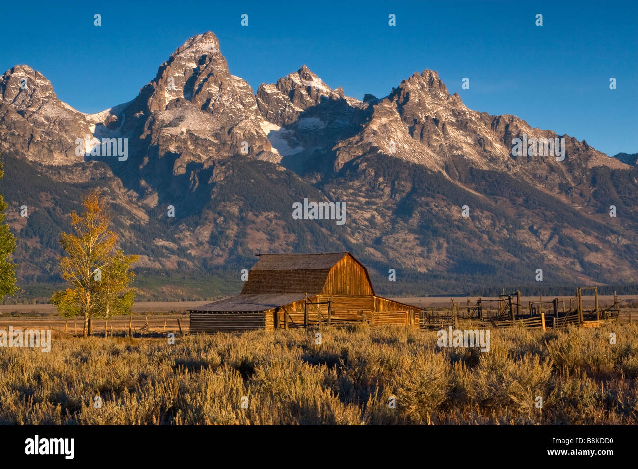 Mormon Row Barn at sunrise with the Teton mountain range behind in ...