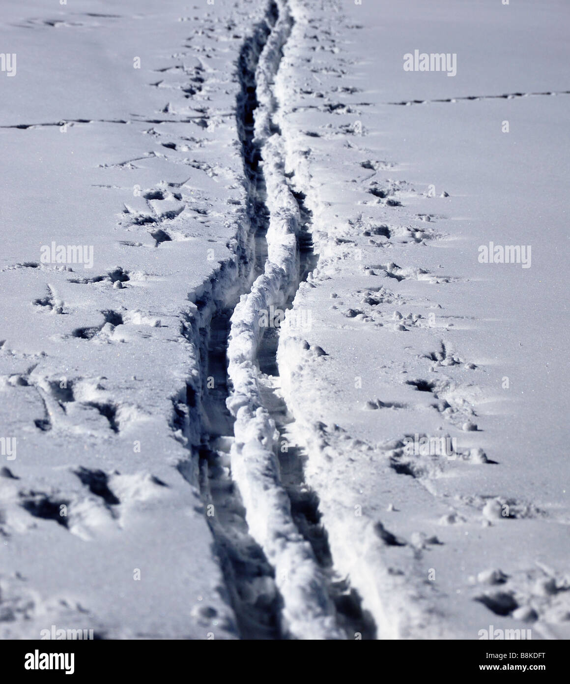 Snow trail hi-res stock photography and images - Alamy