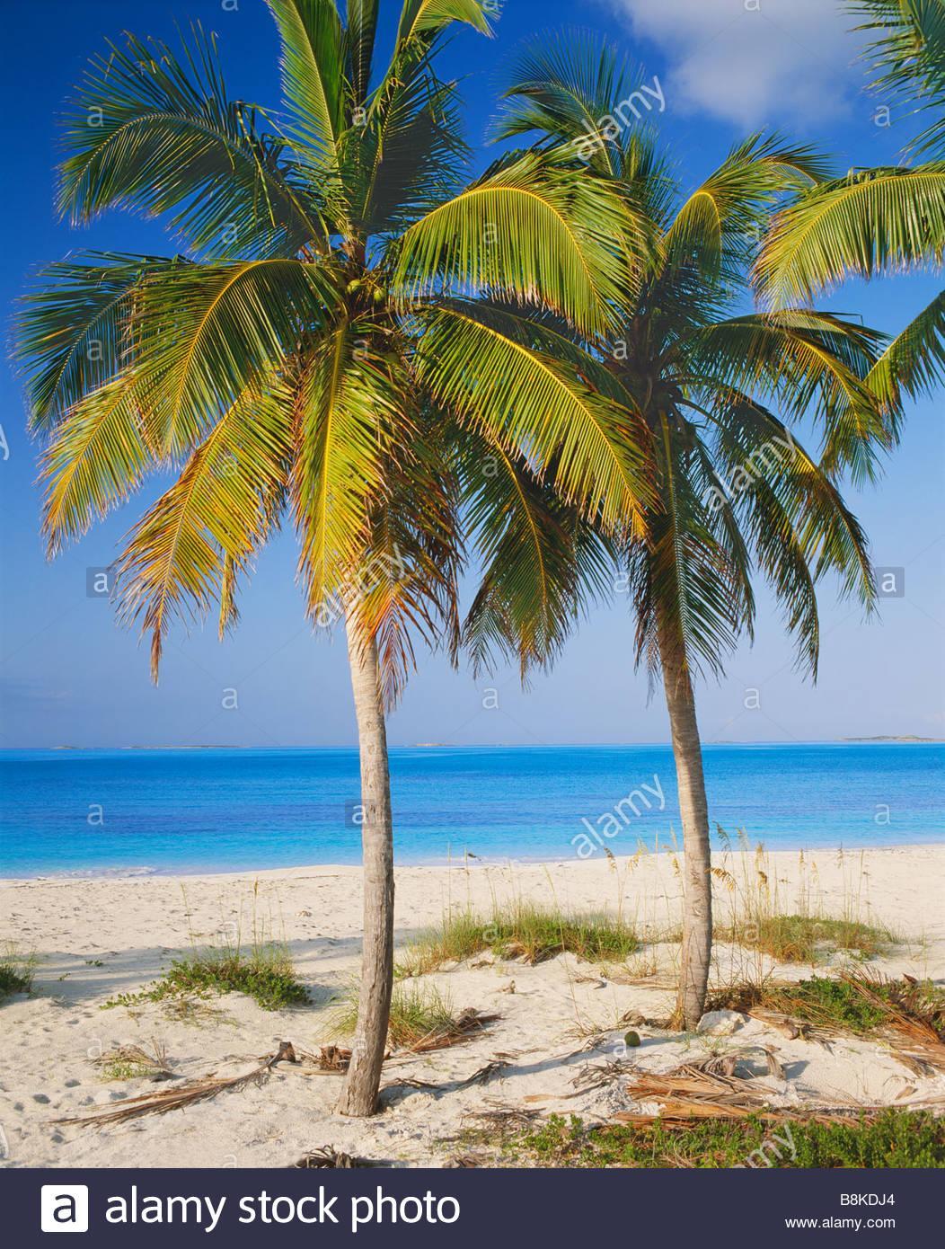 Exuma Cays High Resolution Stock Photography and Images - Alamy