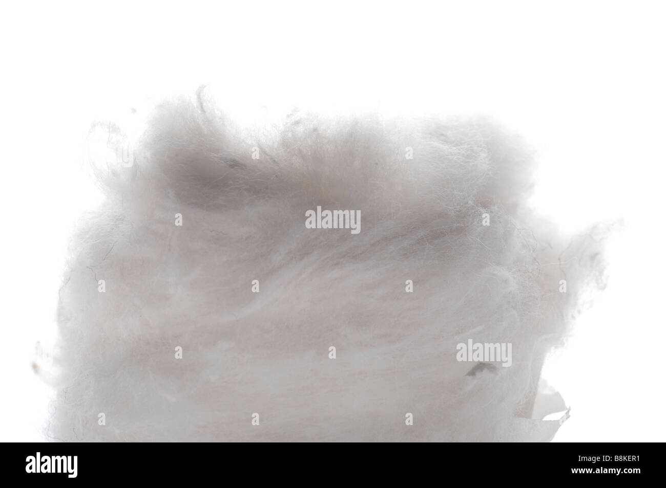 object on white absorbent cotton close up Stock Photo - Alamy